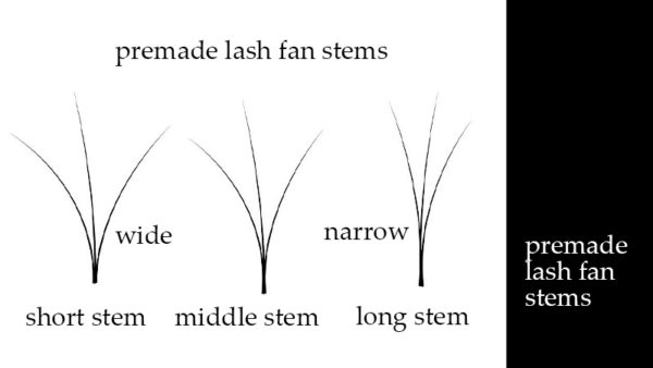 Everything You Need to Know About Premade Lash Fans