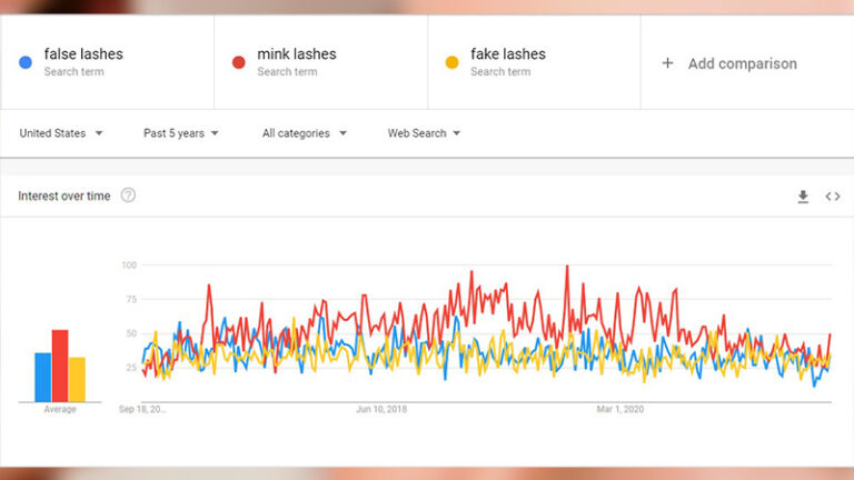 How to Start Lash Business from Home