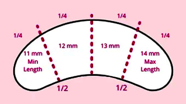 Lash Map: Ultimate Guide About Lash Extension Map for Beginners