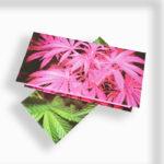 50+ Inspiring Eyelash Packaging Ideas for Your Creative Lash Box ...