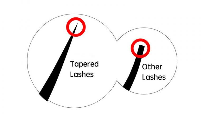 What Are Tapered Lashes: The Starter Guide to Tapered Lashes