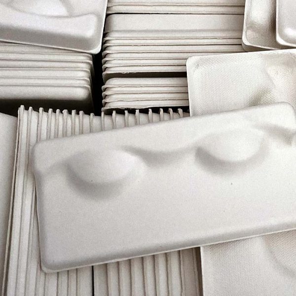 Lash Trays: The Ultimate Guide to Eyelash Tray Holder 2022